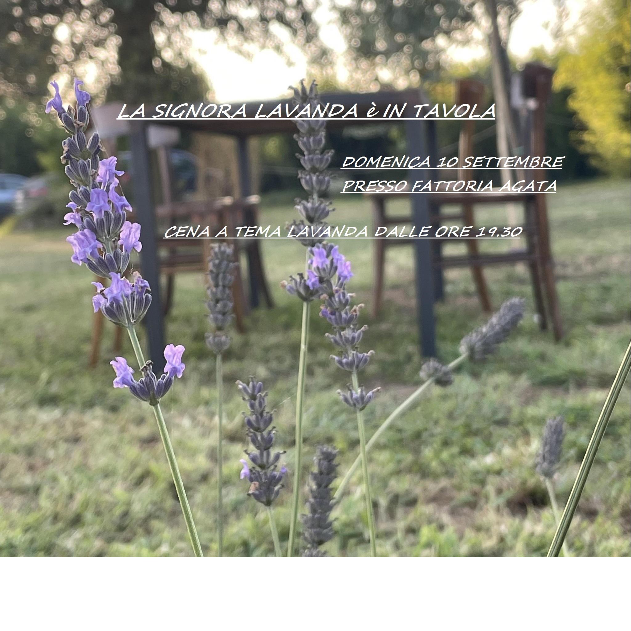 Cena a base di lavanda - Fattoria Agata - Ponte Buggianese (PT ...